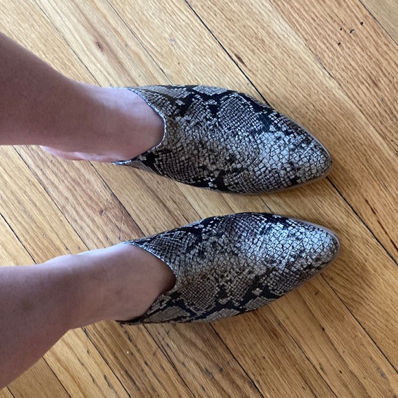 Free People | Shoes | Coconuts By Matisse Snake Print Mules | Poshmark